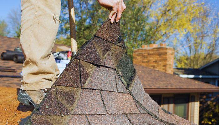 The Essential Guide to DIY Roof Checks and Safety for Homeowners - Roof ...