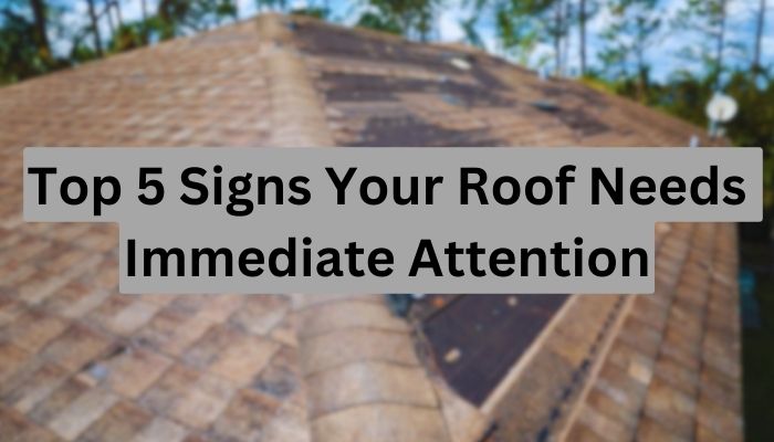 Top 5 Signs Your Roof Needs Immediate Attention - Roof Repair Services